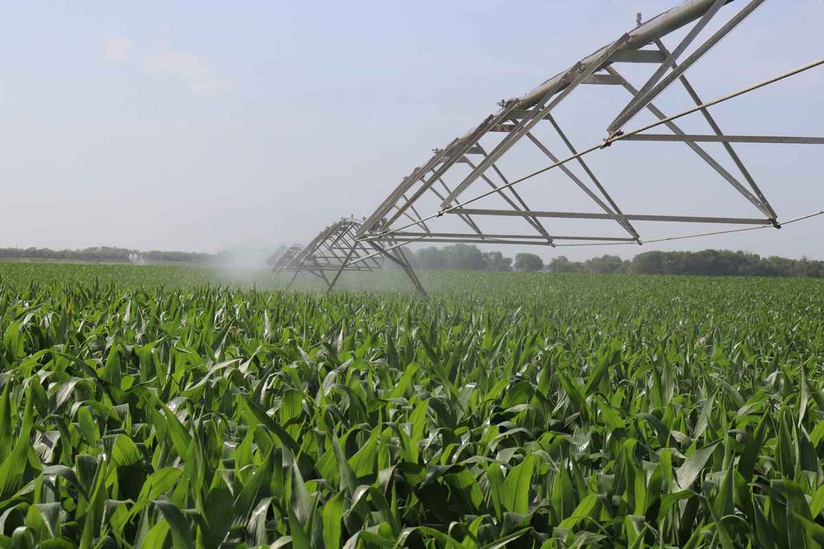 New AG International Innovations in fertigation - New AG International