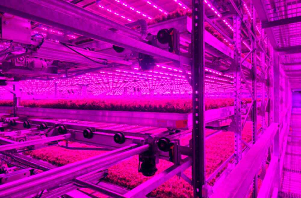 New AG International Vertical farming companies 80 Acres Farms and Soli ...