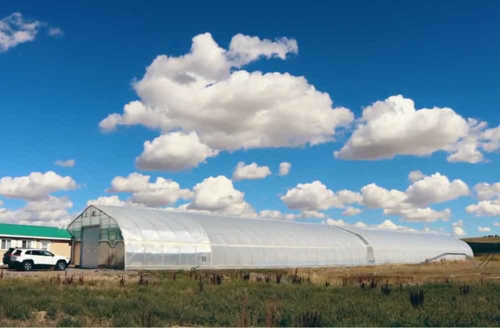 New AG International Rimaco Greens unveils sealed, pressurized ...