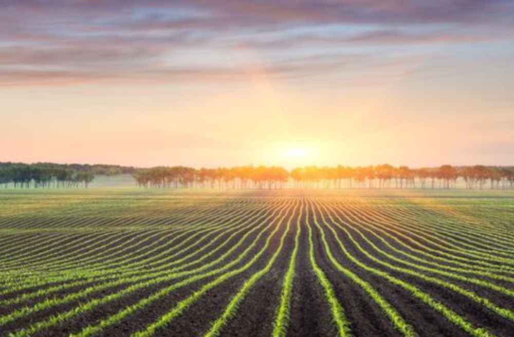 New AG International TFI Certified Biostimulant label newly awarded to ...