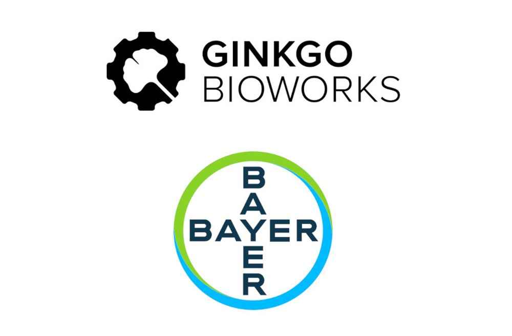 New AG International Ginkgo Bioworks and Bayer extend partnership to ...